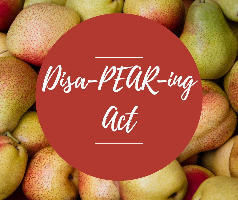 All Cooking Classes – Gather Food Studio