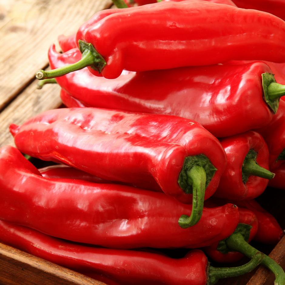 Chile Peppers – Gather Food Studio